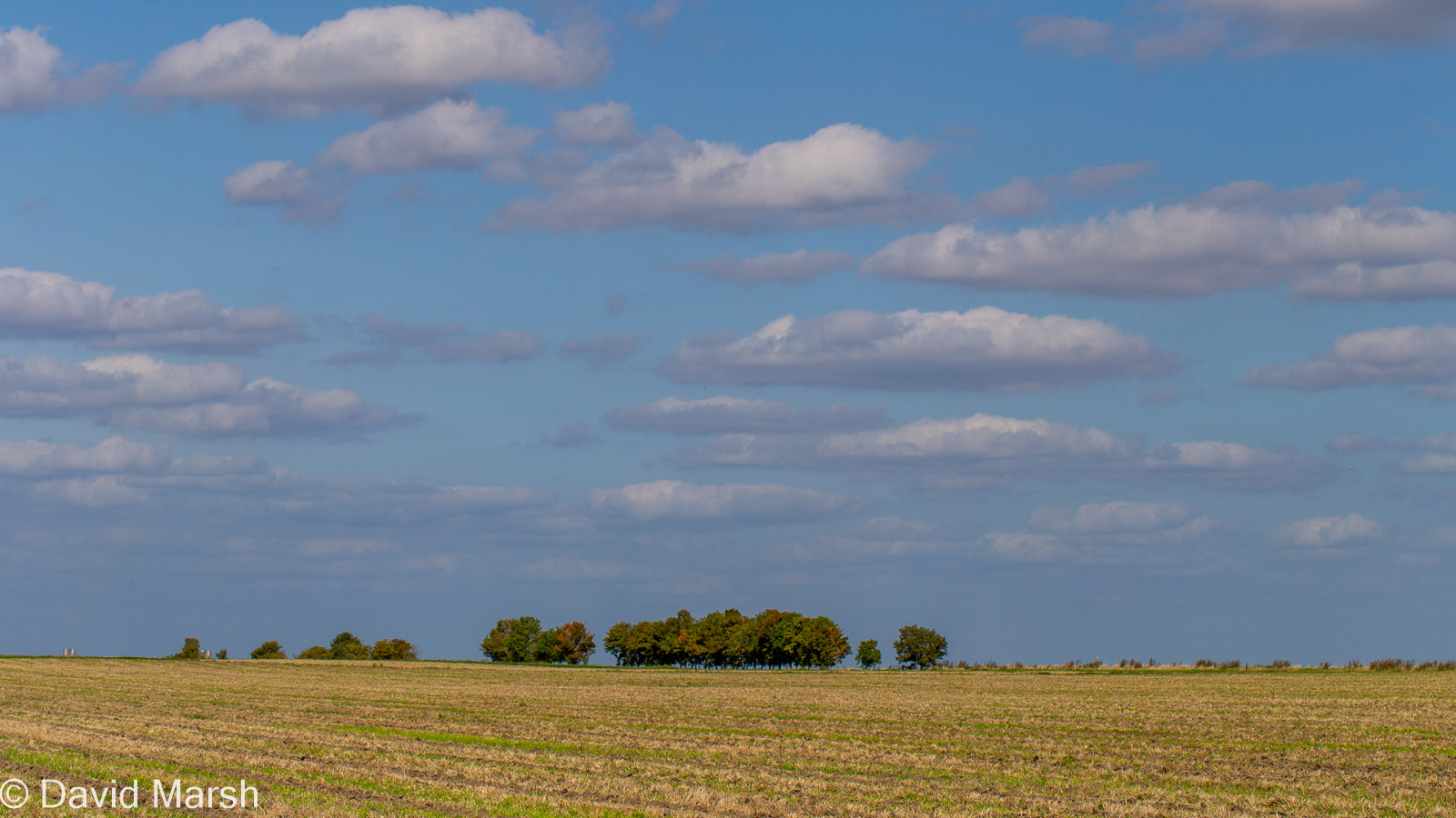 2021 Calendar: photos from lockdown walks from Harwell – David Marsh